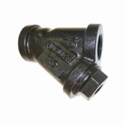 Mueller Steam Specialty™ M6701296 11M Wye Strainer With #20 304 ...